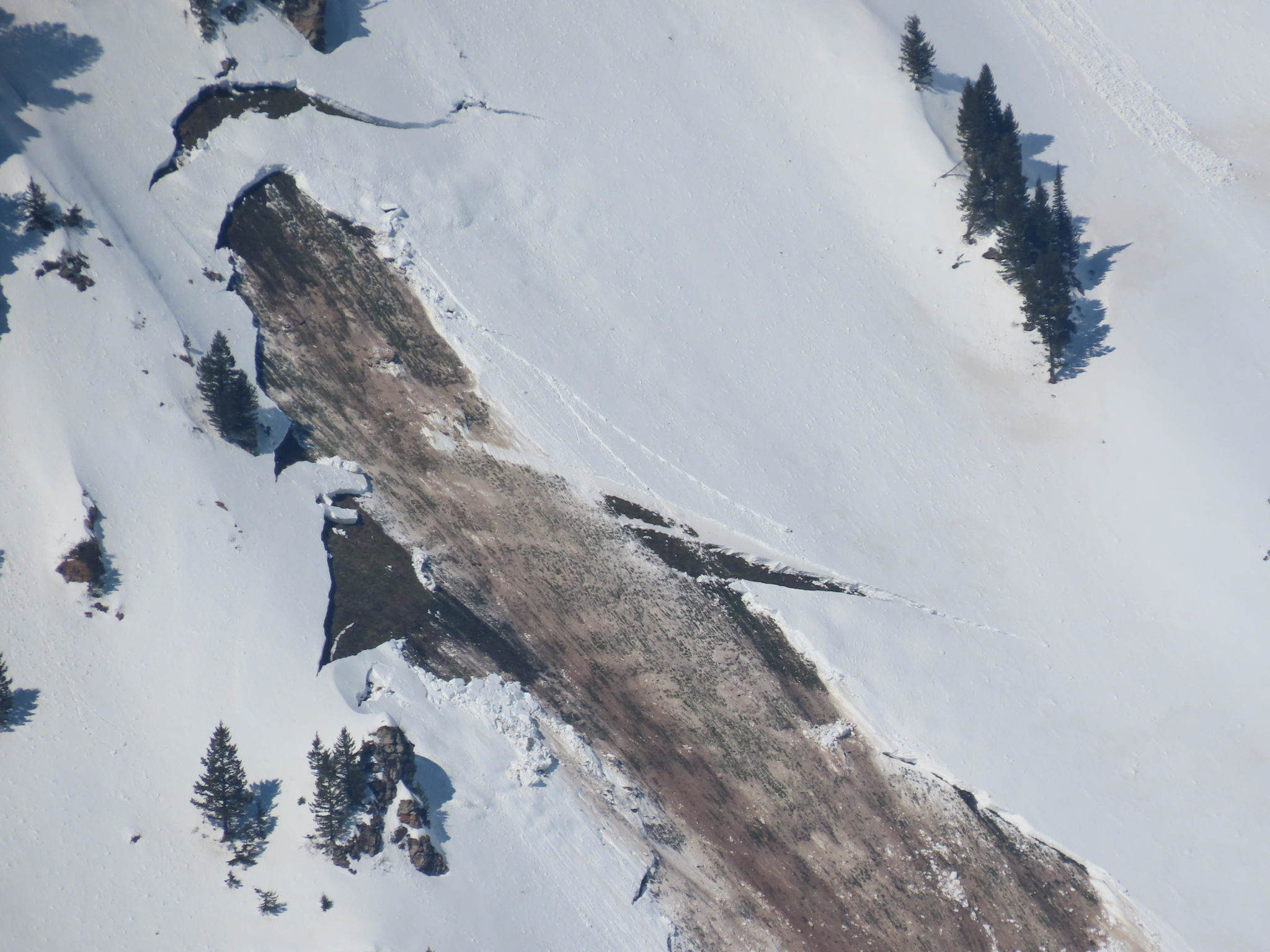 Glide avalanche in the Missions - Missoula Avalanche