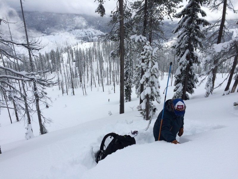 snow pit 03:16:16 - Missoula Avalanche